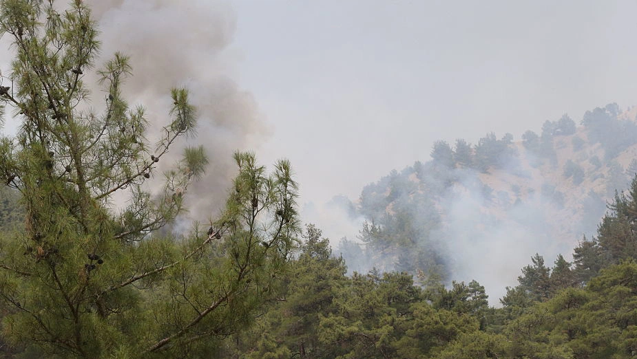 Army and IAF contain massive Kasauli forest fire after 15-hour battle
