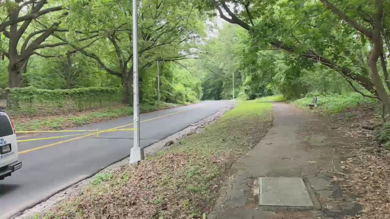 Body of dead woman discovered in wooded area of Forest Park near Myrtle ...