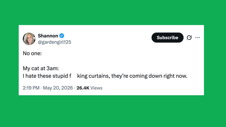 23 of the funniest posts about cats and dogs this week (May 16-22)