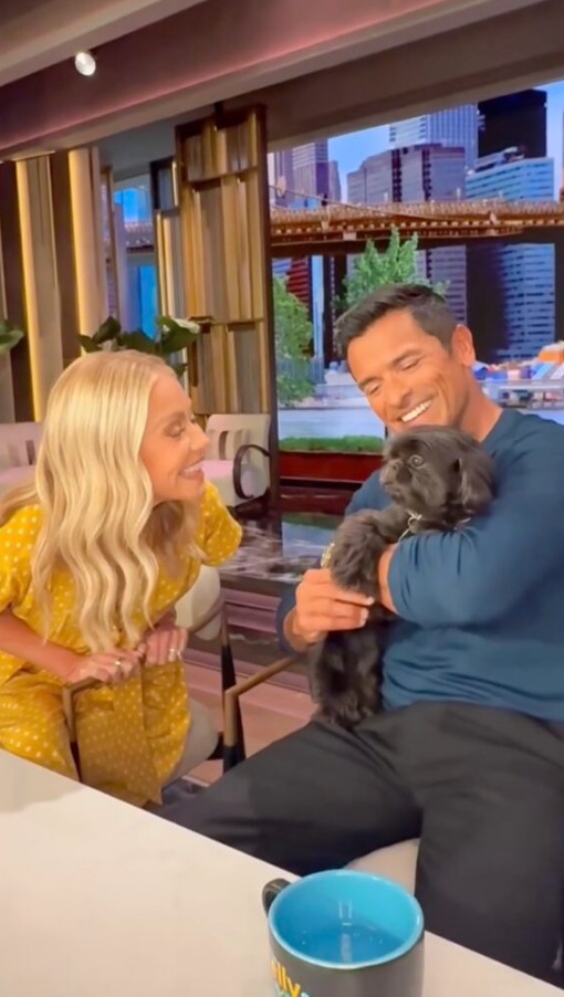 Kelly Ripa forced to call 911 for this scary reason: I was debating ...
