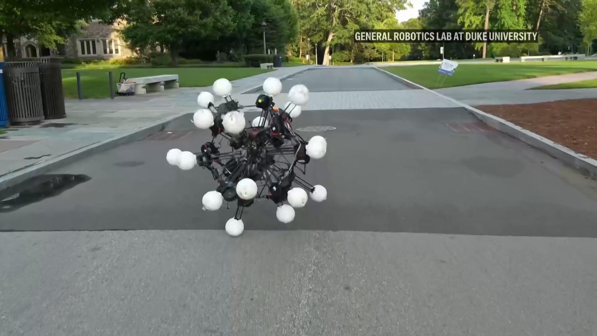 Robotics team looks at its creation as a new species, not copy of ...