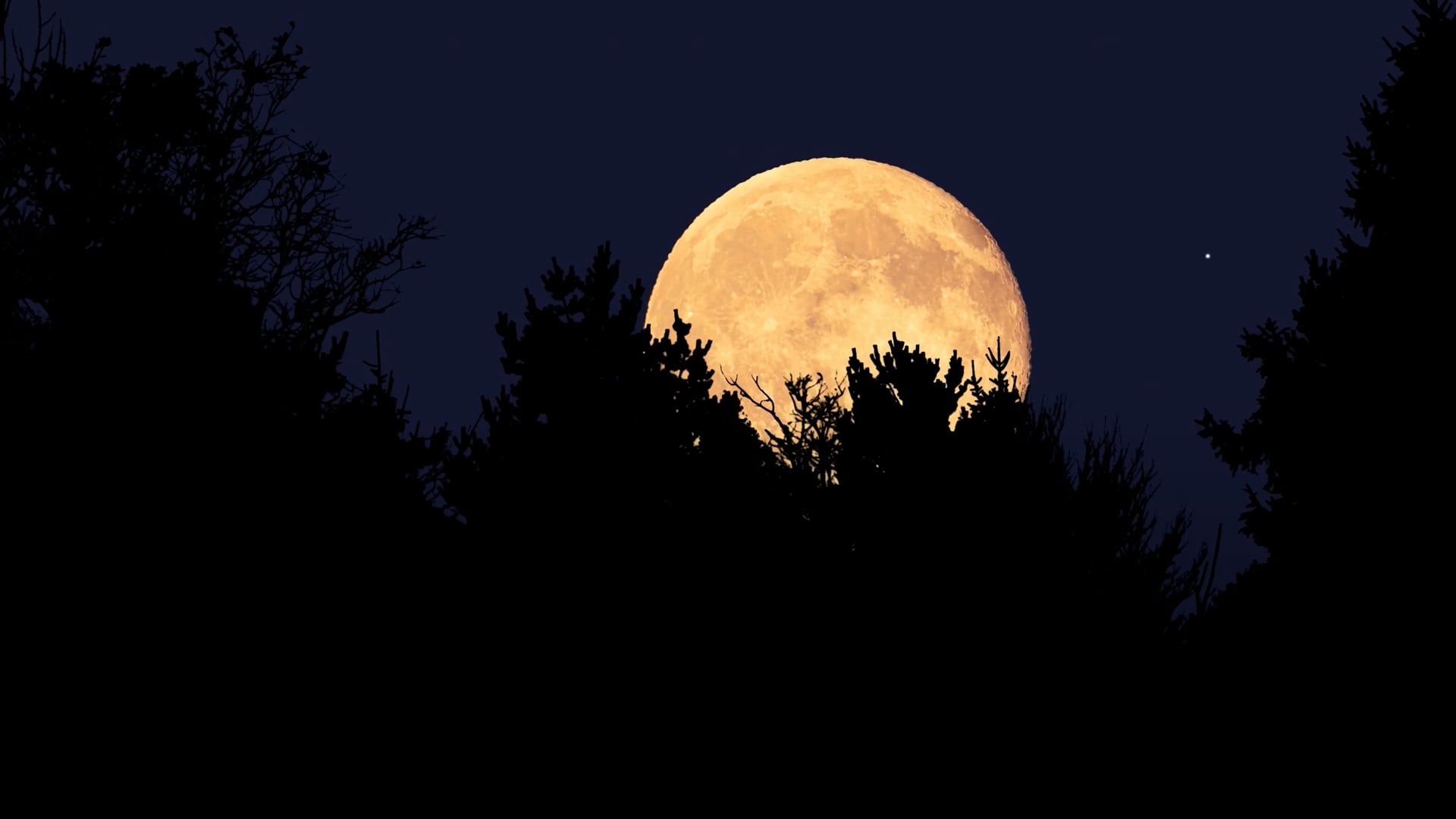 Der seltene blaue Mond im Mai: So können Sie ihn sehen
