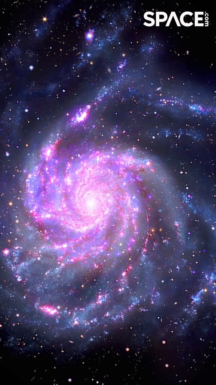A mesmerizing spin through the Pinwheel Galaxy