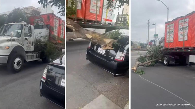 U-Haul hits parked cars with stuck tree limb in North Hollywood, video ...
