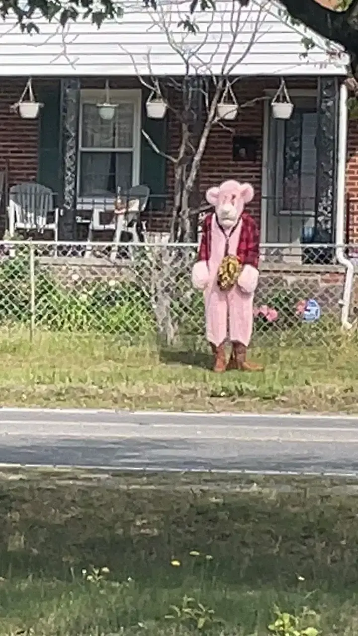 Like a scene from a horror movie: Predator in Pink Panther costume ...