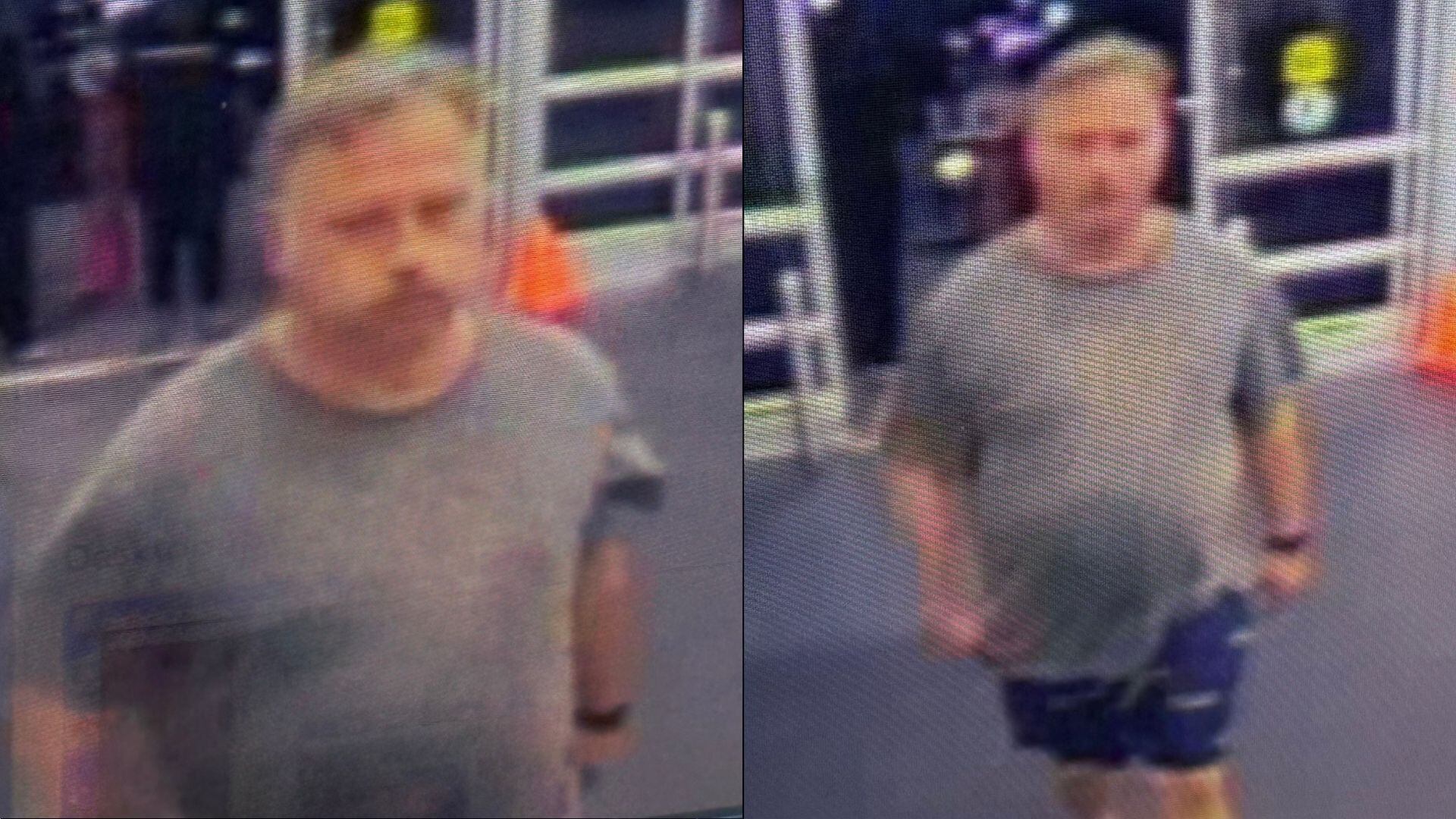 Albany police working to ID vehicle theft suspect