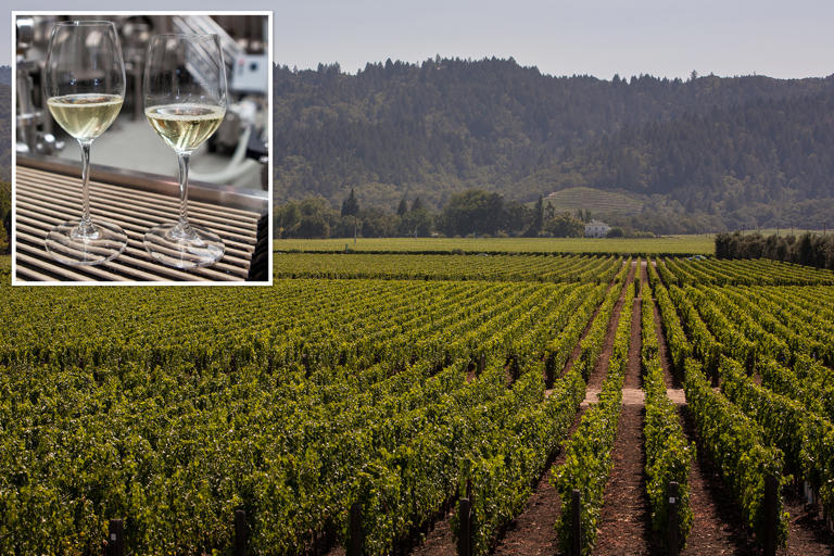 Fresh hell for California’s crippled wine industry as values hit rock ...
