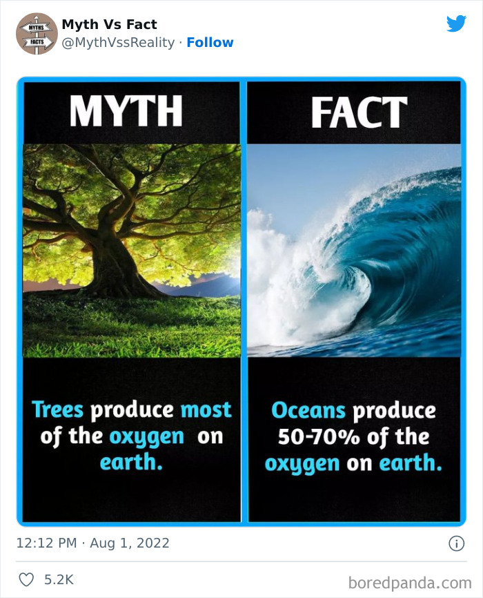48 'facts' that are actually not true, shared online