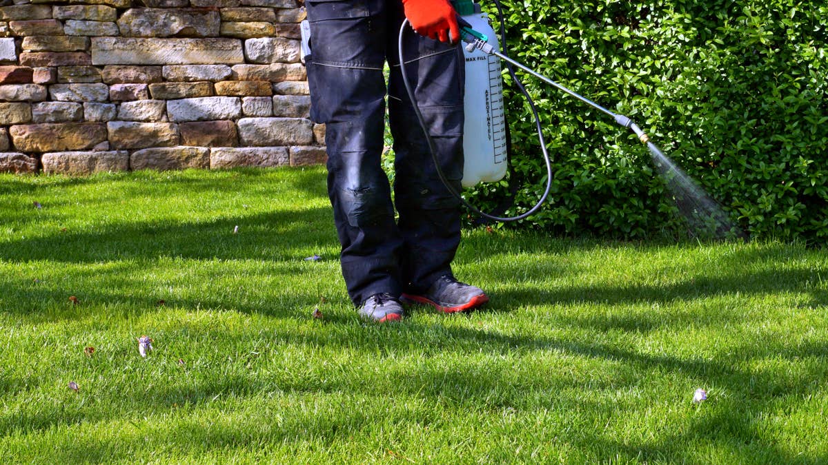 The biggest weed killer mistakes homeowners make every spring