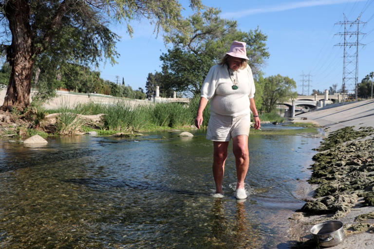 Nithya Raman abandons $4M for homeless encampment cleanup during run ...
