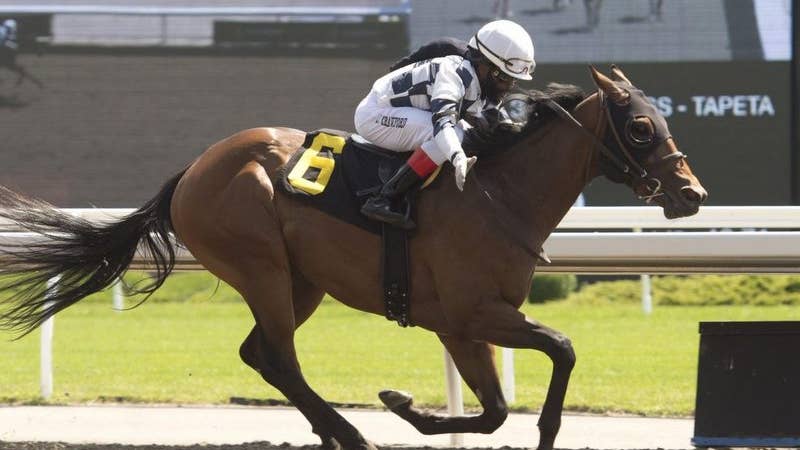 Awesome Bourbon leads Jacques Cartier Stakes