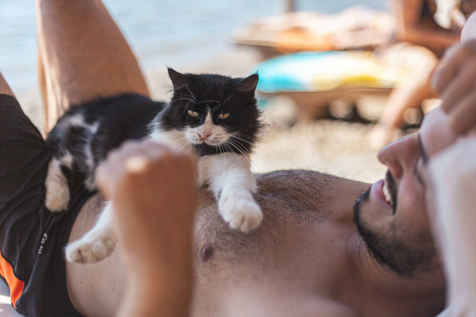 Bissell's new pet care line with Austen Kroll aims to ease cat care ...