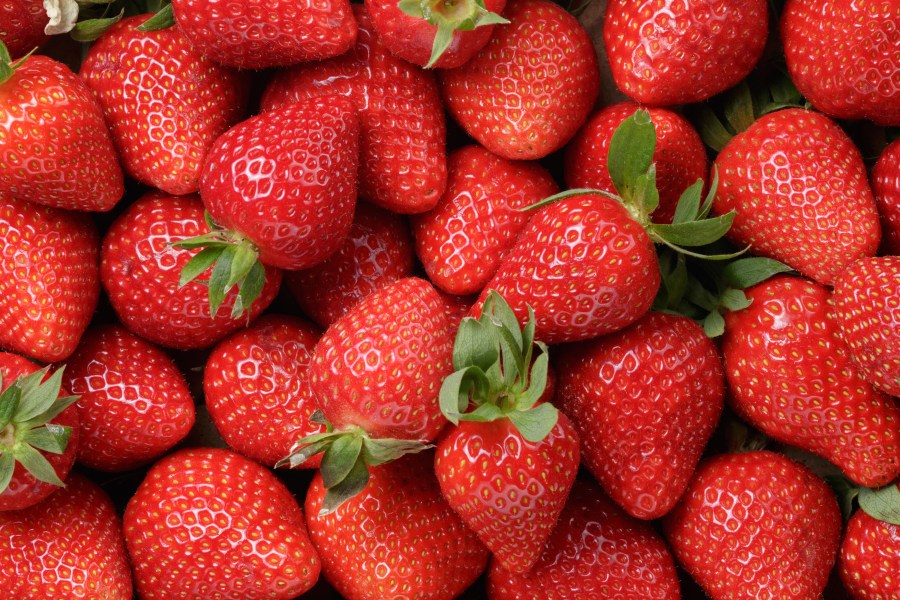 Annual strawberry festival hosted by Grace Lutheran Church in Ohio County