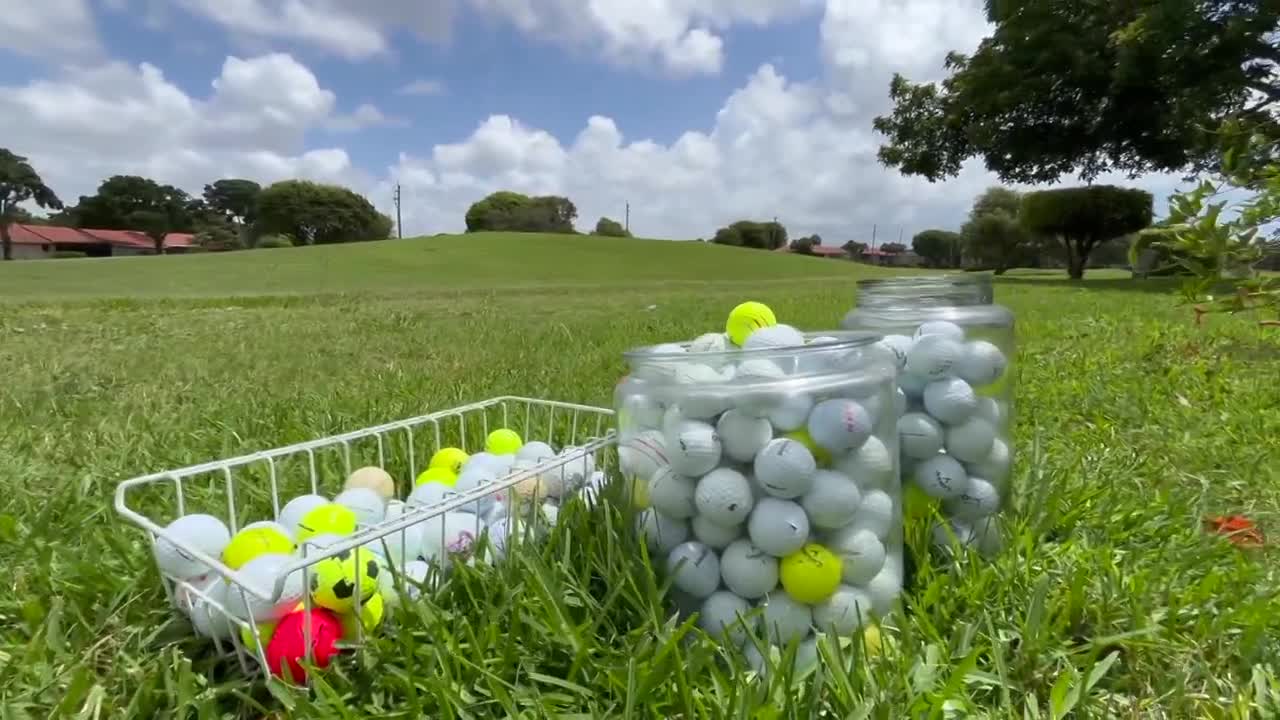Golf balls rain down on Florida family's home daily