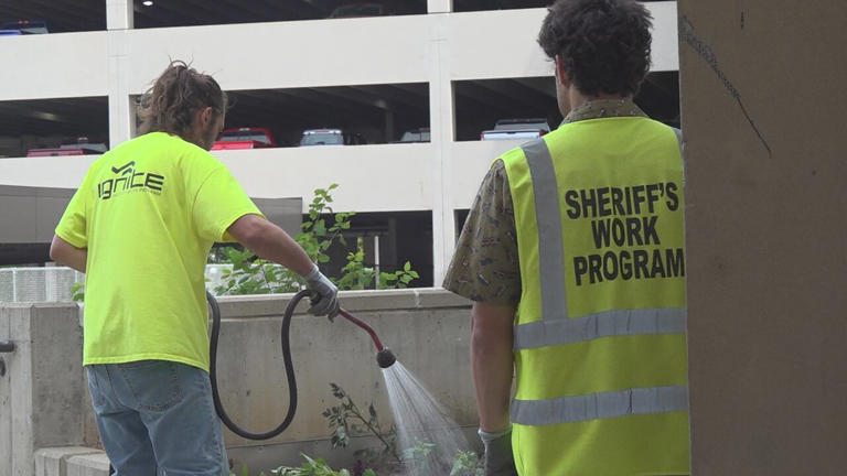 County inmates planting more rain gardens to spruce up Rapid City