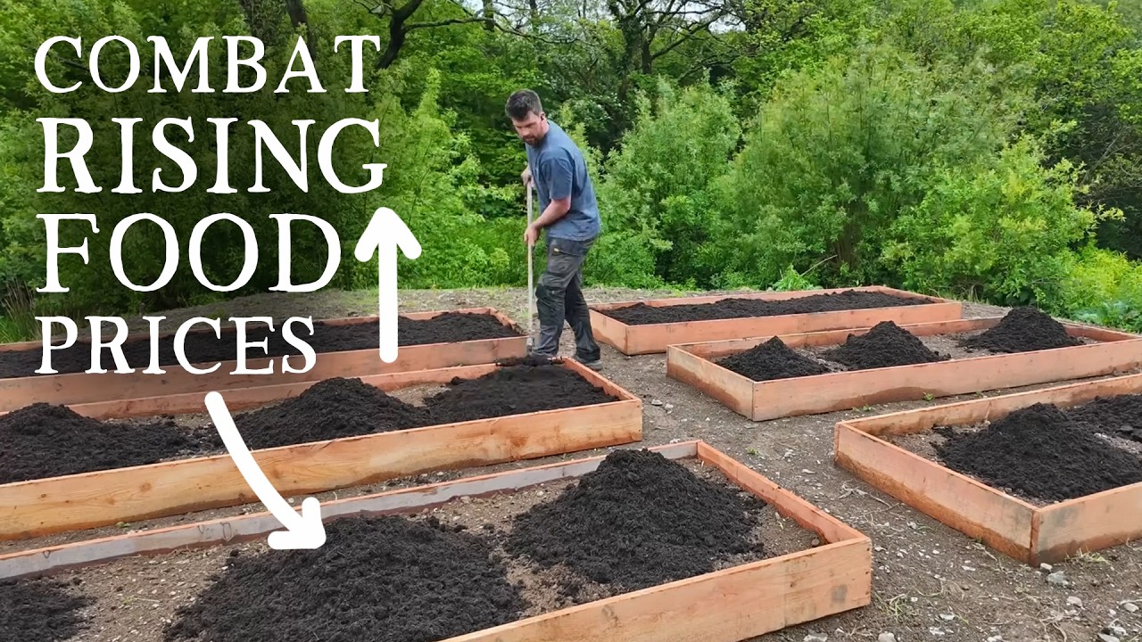 Rising Food Prices Makes Growing Your Food More Important Than Ever