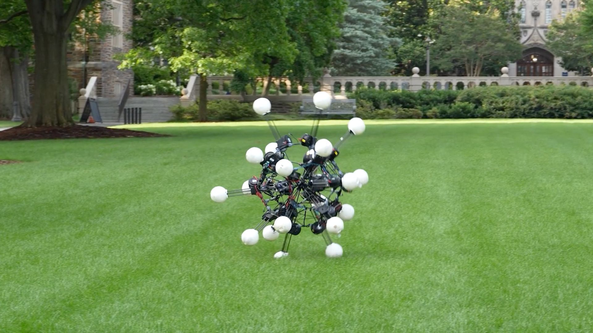 New 20-legged Argus robot redefines robotics with directionless ...