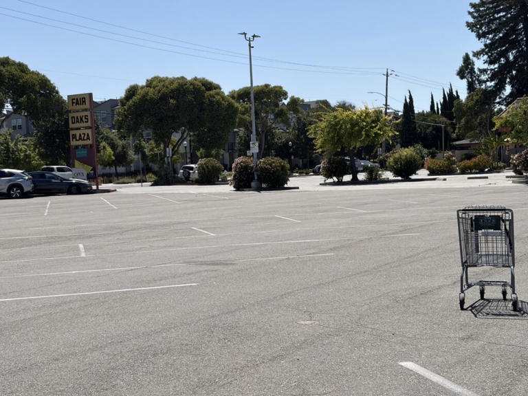 North Sunnyvale residents fight development to prevent food desert