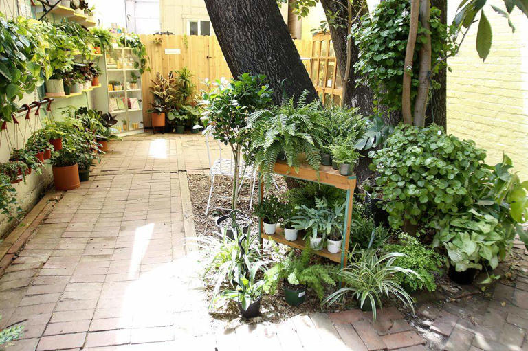 Downtown SLO plant shop is closing after a year in business. What happened?