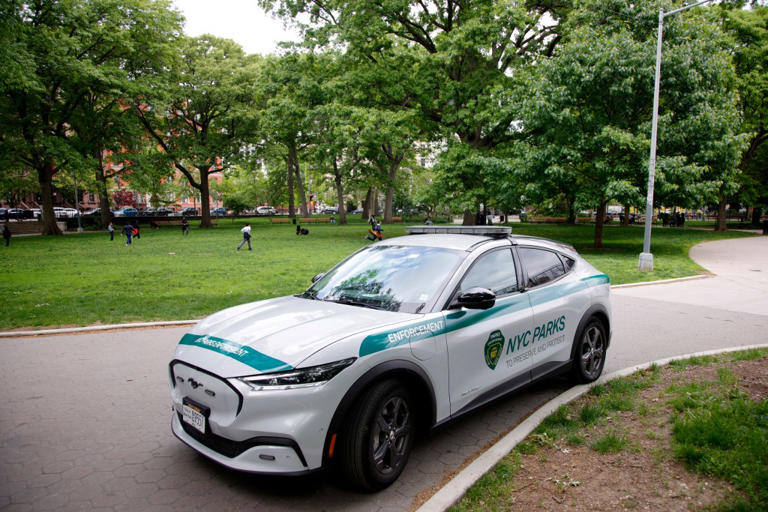 NYC Council fighting back on Mamdani’s parks budget cuts — with plan to ...