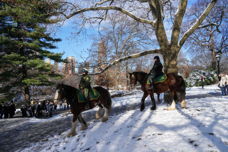 NYC Council fighting back on Mamdani’s parks budget cuts — with plan to ...