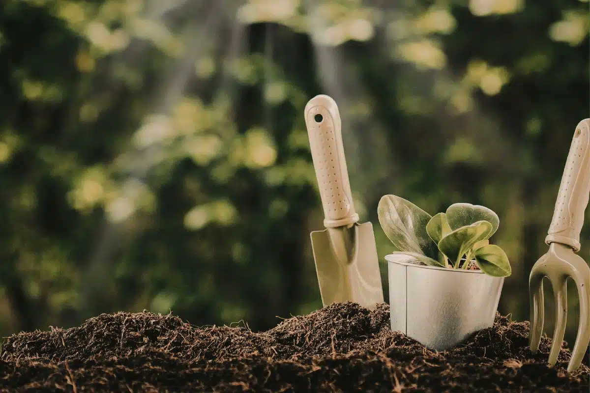 9 easy weed-killing hacks that save you hours in the yard