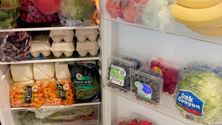 Steelton opens community fridge to fight food insecurity