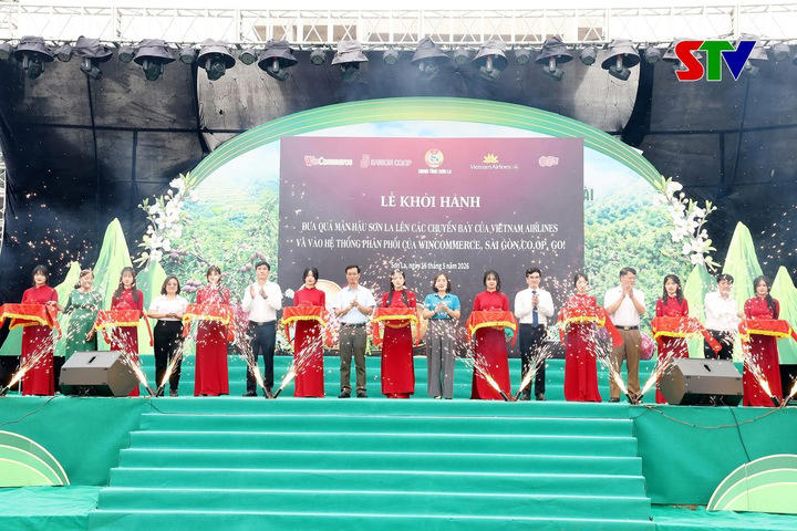 Saigon Co.op đồng hành tiêu thụ mận hậu Sơn La, giá tốt hơn thị trường ...