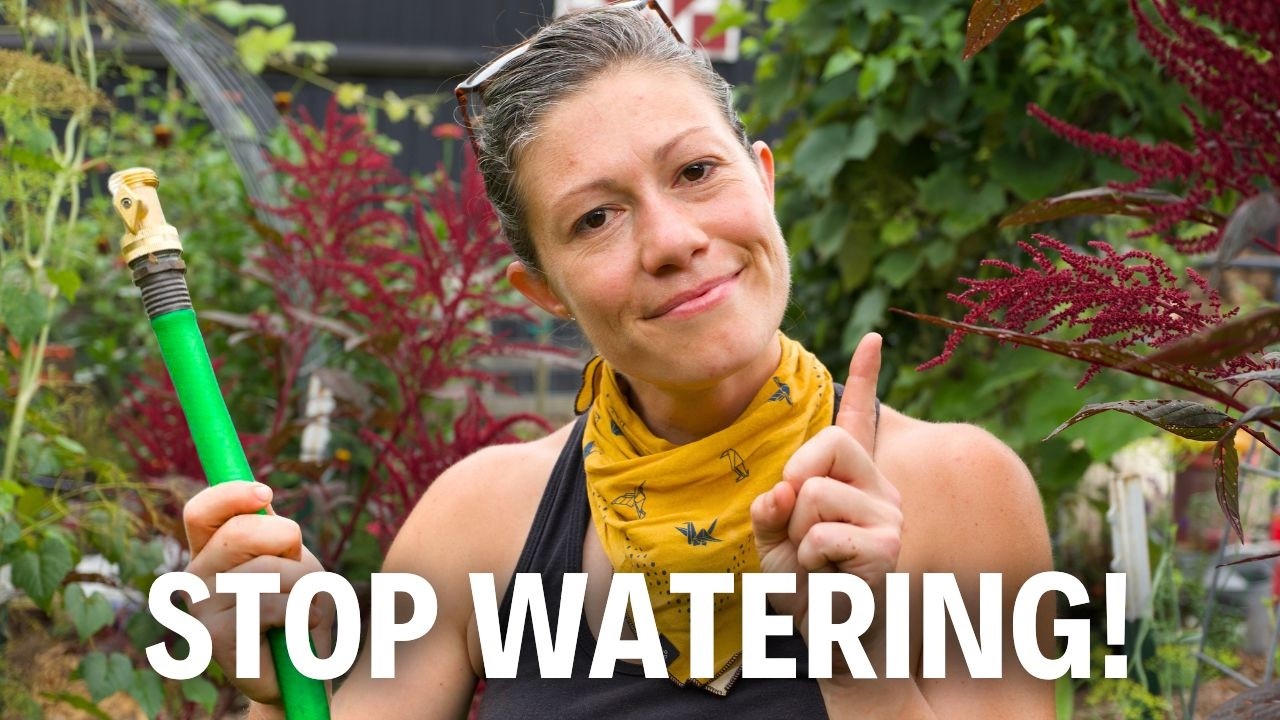I learned to water my garden the lazy way 🌱