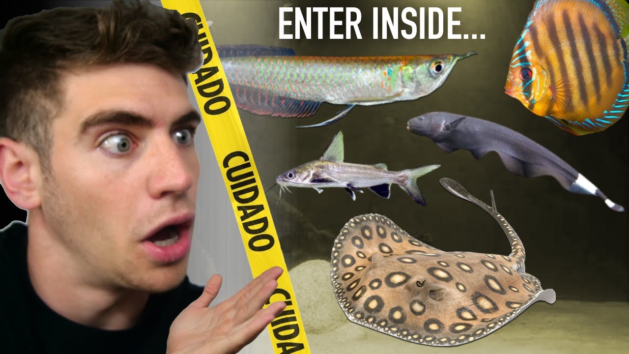 Inside Colombia's largest aquarium store! (Tour)