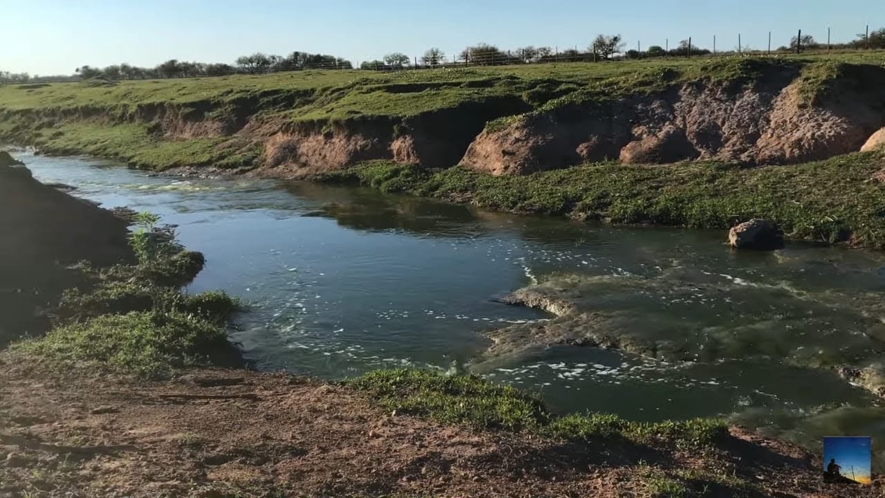 Pescando en un arroyo increíble donde algo pasa