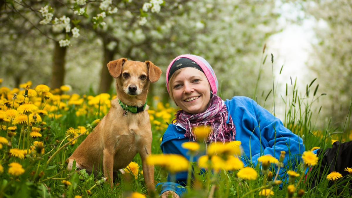 Do dogs really look like their owners? This science proves their ...