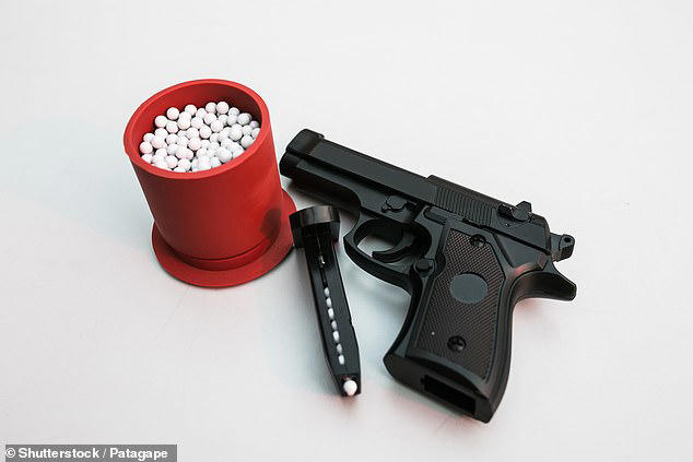 Balaclava-clad men 'armed with BB gun and bat' hold up antiques sale ...