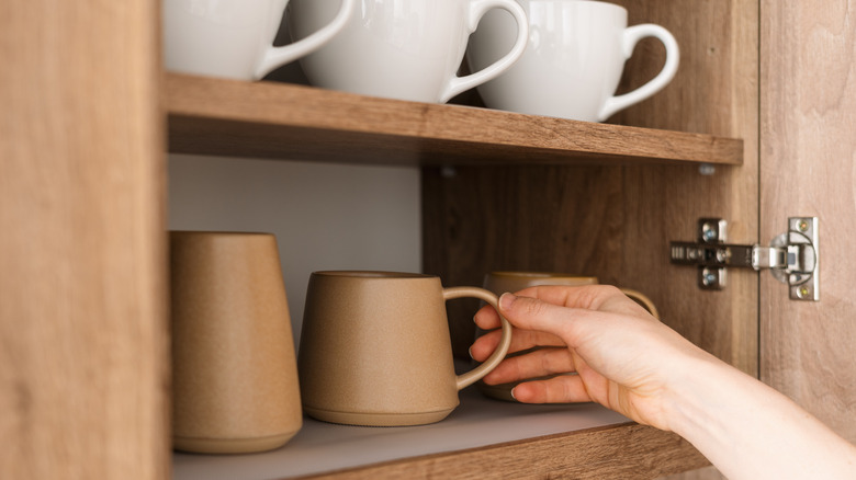 The Dollar Tree hack that'll stop your cabinets from being overrun by ...