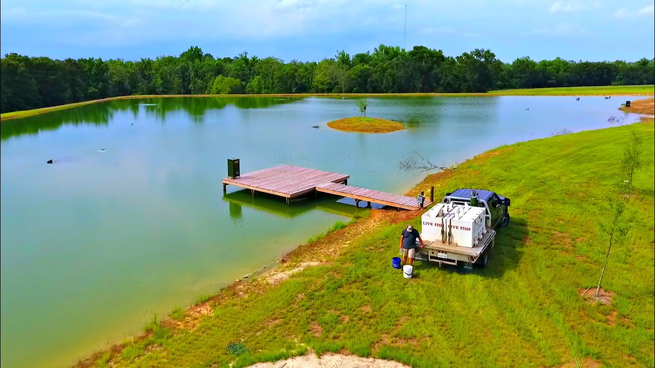 Building a 5 acre pond! (Adding the bass)
