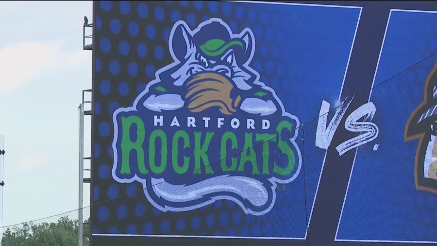 Hartford Yard Goats celebrating Rock Cats