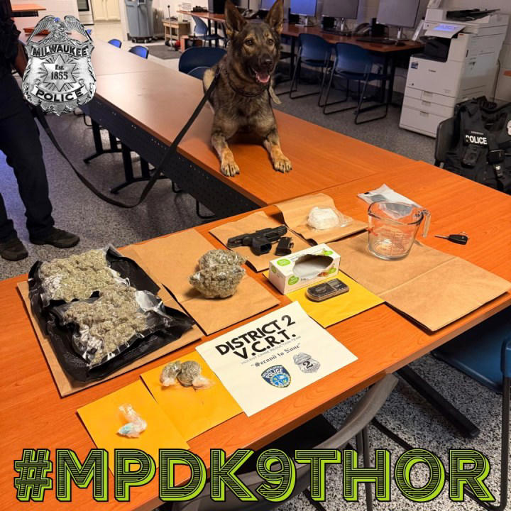 Wisconsin officers spot drug deal, K9 helps find 600+ grams of THC ...