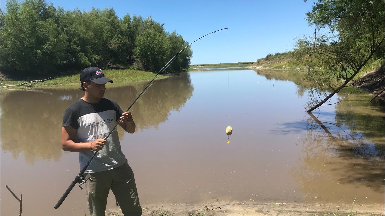 En busca de la carpa en un arroyo