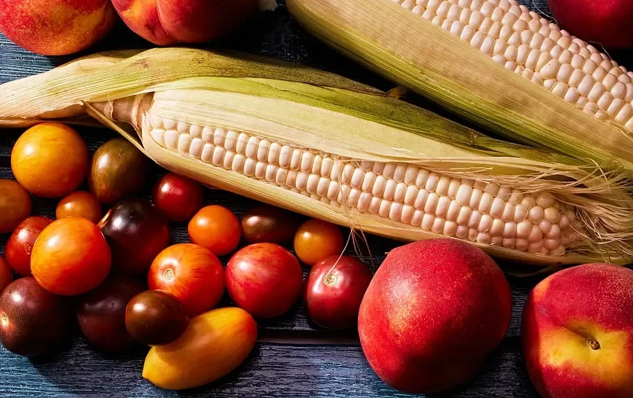Fresh summer recipes and storage tips unveiled for the season