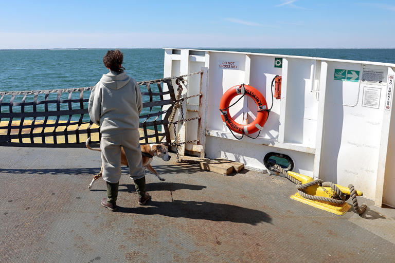 Take your car for a boat ride on the Cape May-Lewes Ferry. Trust me.