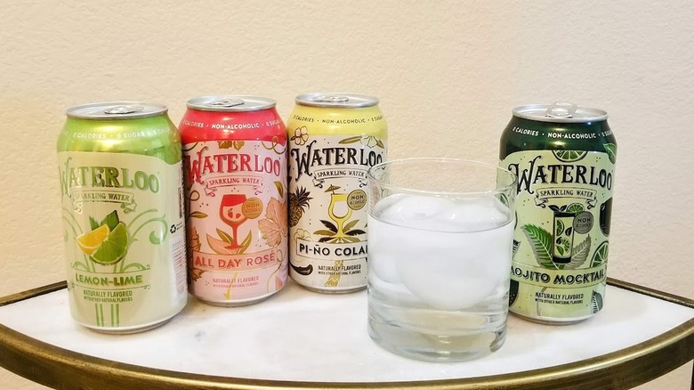 13 best canned sparkling water brands