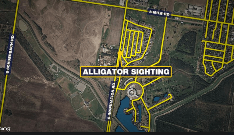 Alligator spotted in south Mission