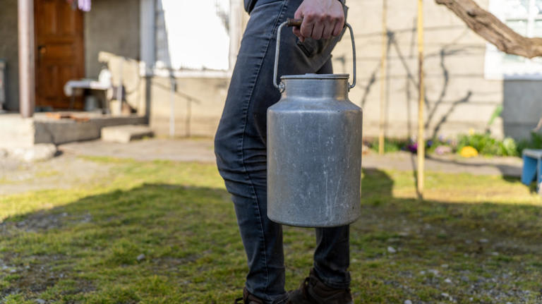 Turn an old vintage milk can into a charming bird bath