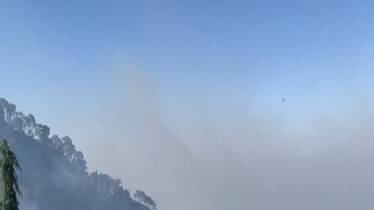 Massive forest fire in Shimla's Kasauli doused by IAF, ground teams