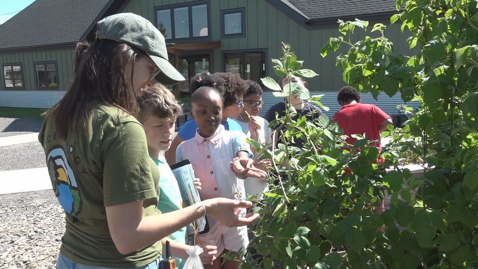 Foodlink Community Farm hosts RCSD field trips for hands-on lessons
