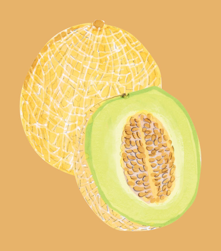 9 types of melons to try this summer
