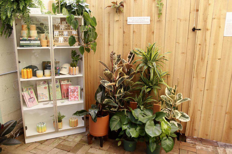 Downtown SLO plant shop is closing after a year in business. What happened?