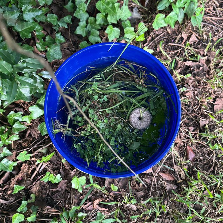 The 'Bucket of Doom' is the best mosquito hack you've never tried