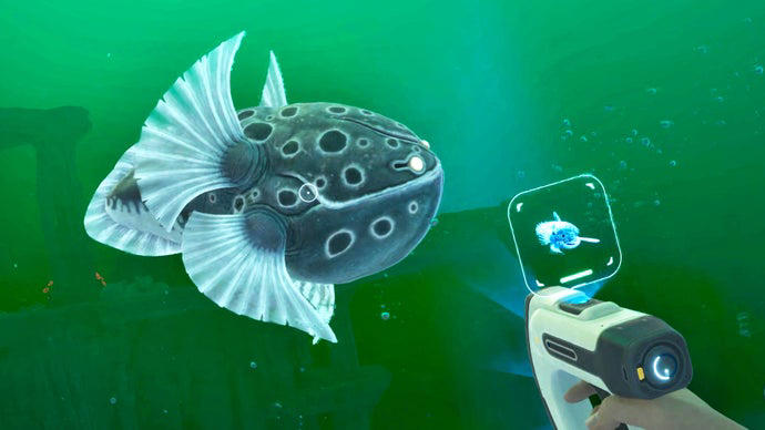 Subnautica 2's EULA is causing a bit of a ruckus, but Unknown Worlds ...