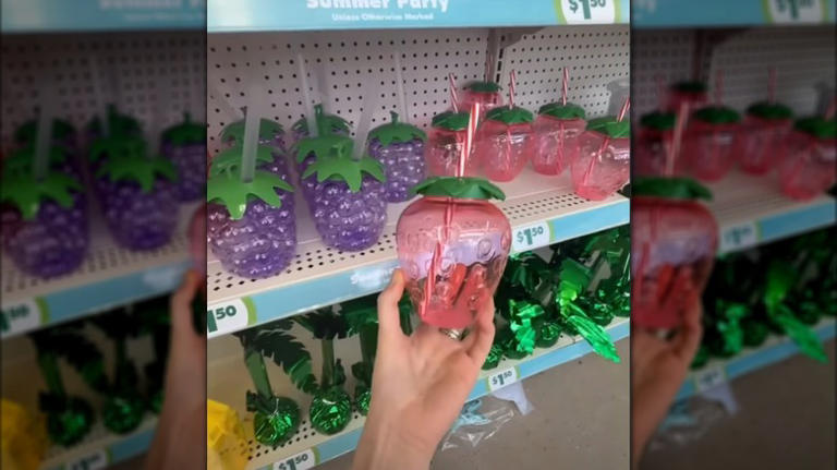 14 Dollar Tree items smart homeowners should stock up on for summer